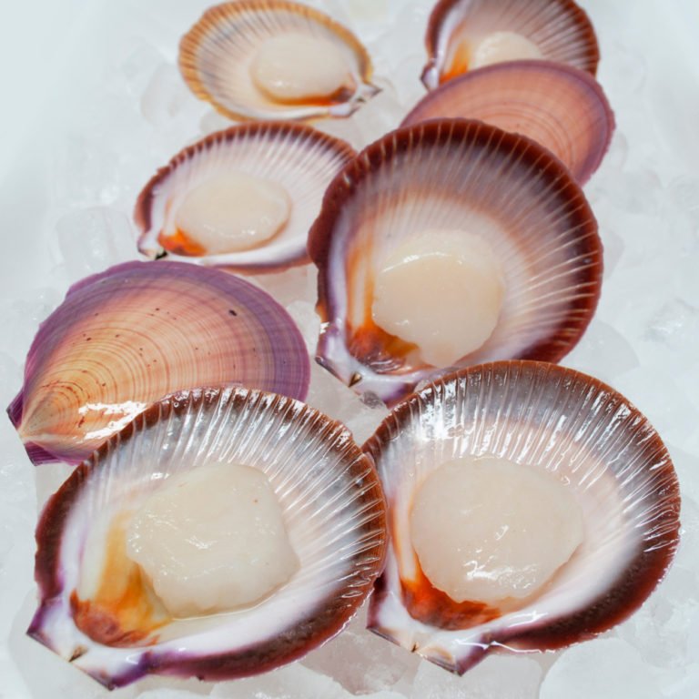 McBoats Seafood: West Australian Fishing Company